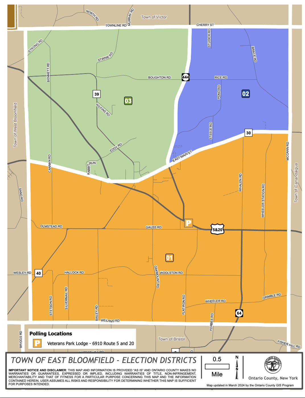 Local election districts